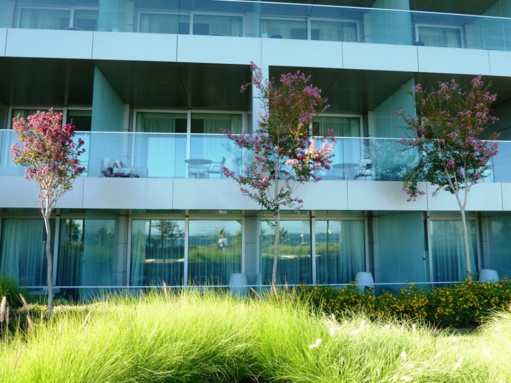 Lagerstroemia indica e gram°neas em primeiro plano - Revista Jardins