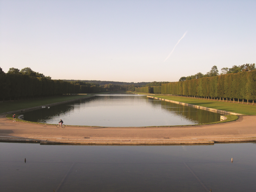 Tudo o que deve saber sobre sebes