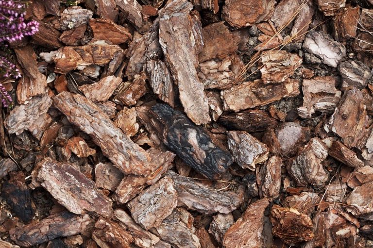 Crushed tree bark texture background closeup. Shredded brown tree bark ...