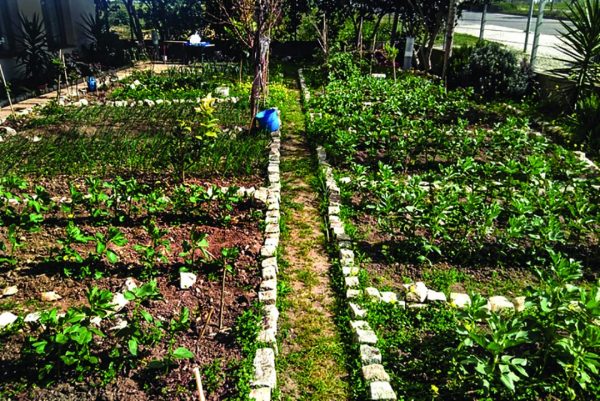 Escola Básica Padre José Manuel Rocha e Melo - Revista Jardins