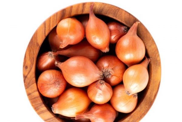 Ficha de cultivo: Chalota - Revista Jardins