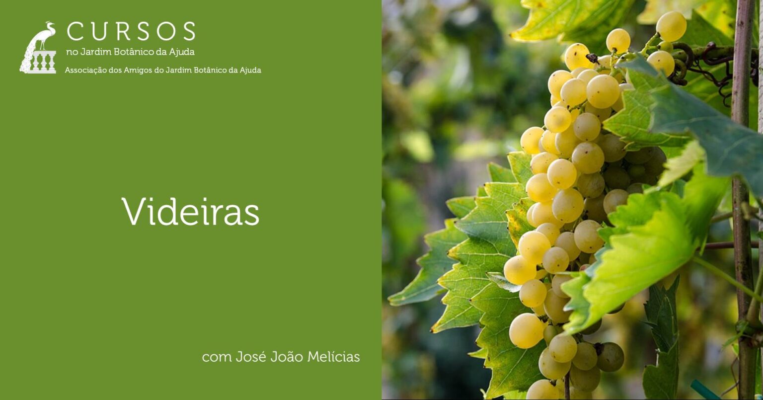 f893fa7b-c099-719d-b1b1-abb936535bcf - Revista Jardins